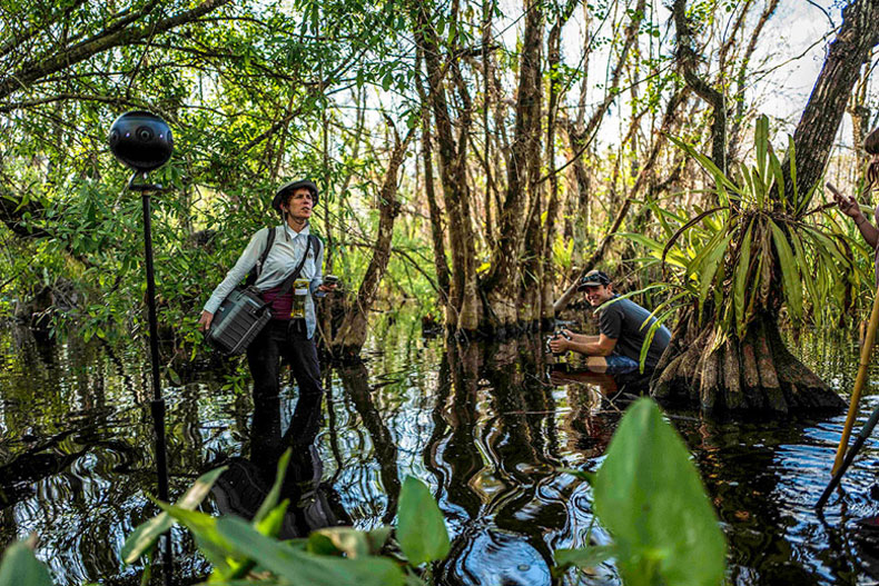 SwampScapes: A journey through the Everglades